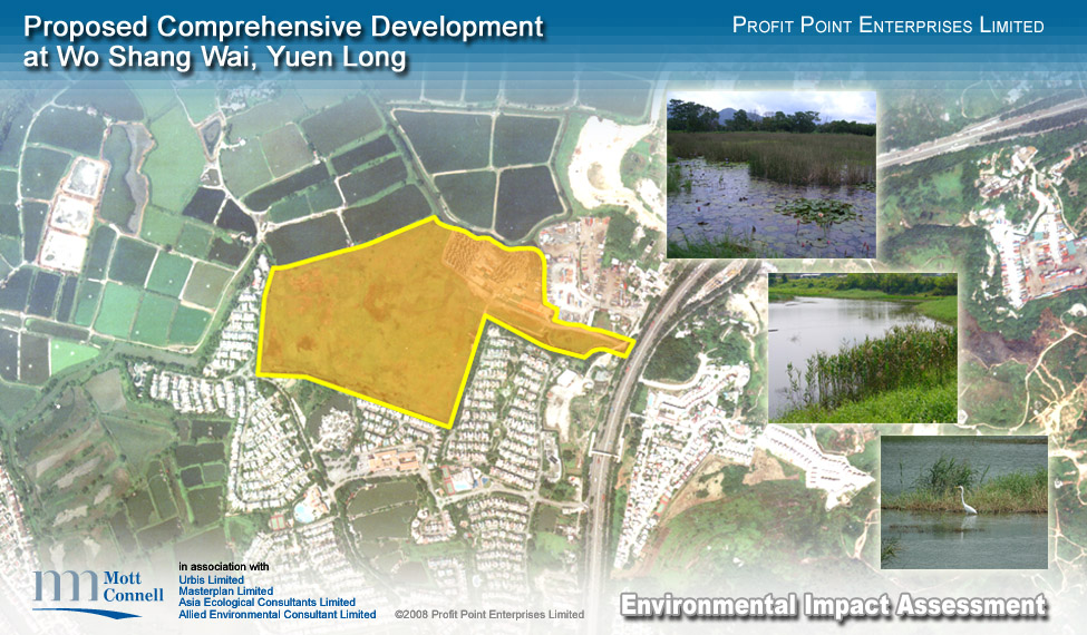 Proposed Comprehensive Development at Wo Shang Wai, Yuen Long EIA