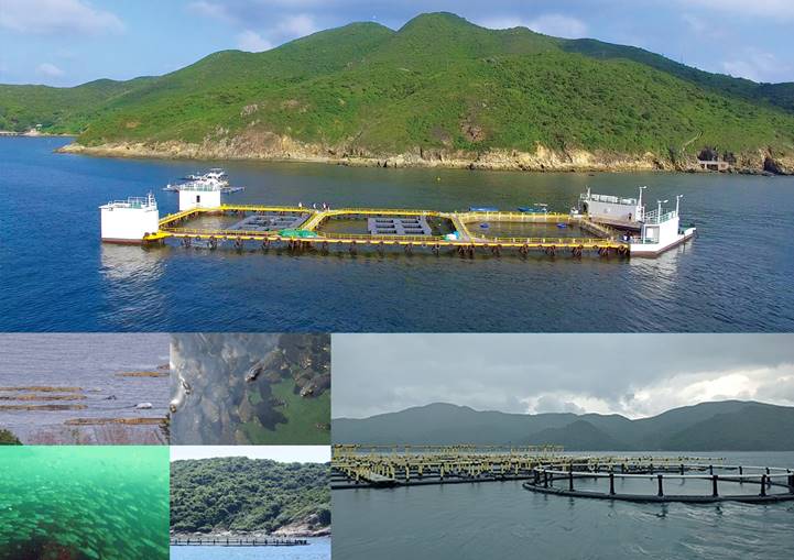 AFCD New FCZs EIA Index