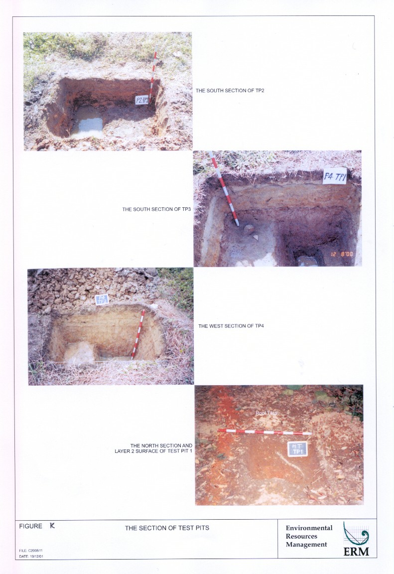 FINAL REPORT