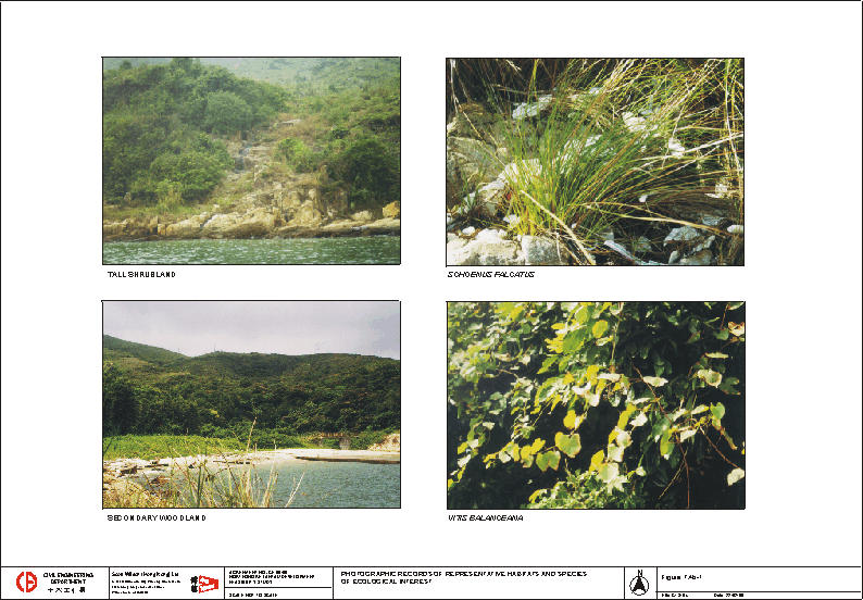 C1819 - NSLD Final EIA