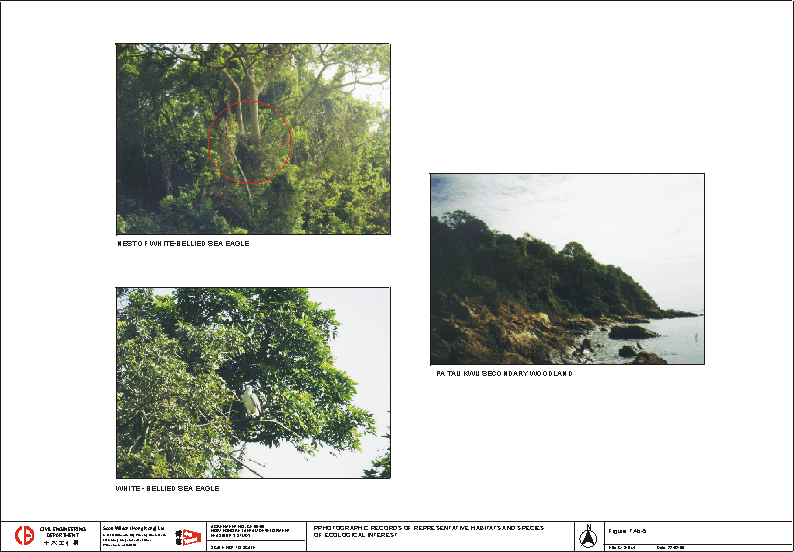 C1819 - NSLD Final EIA