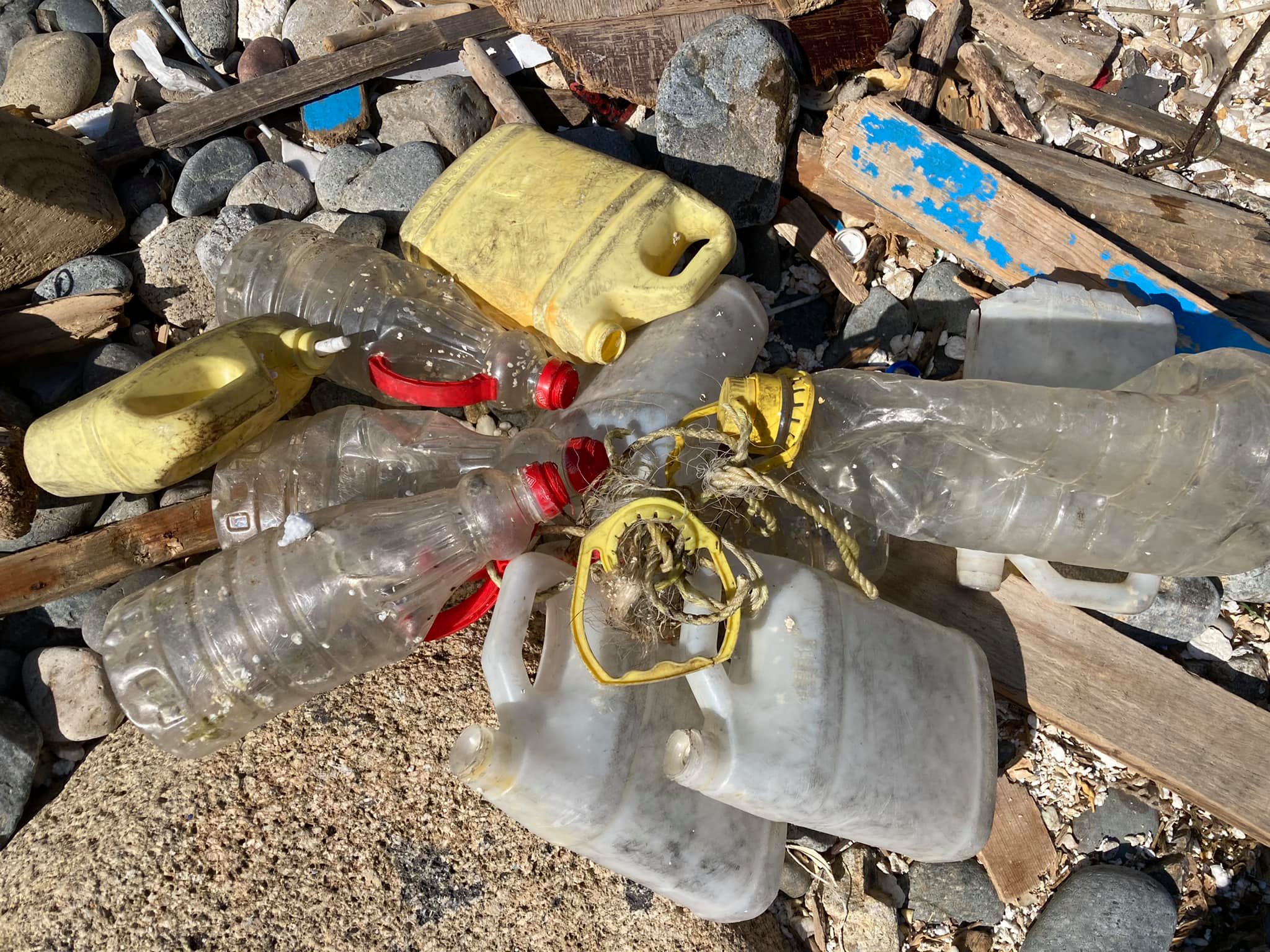 海岸清洁