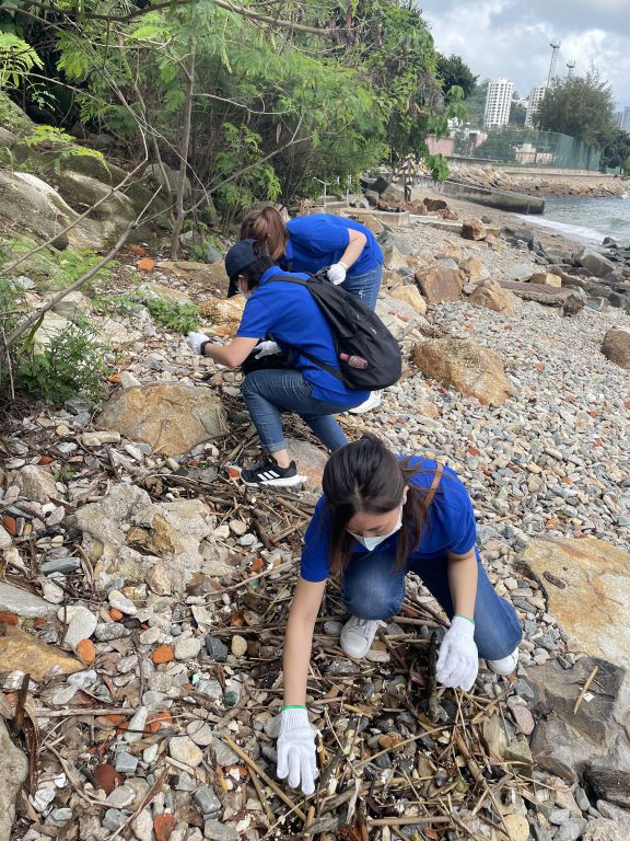 Clean Shorelines