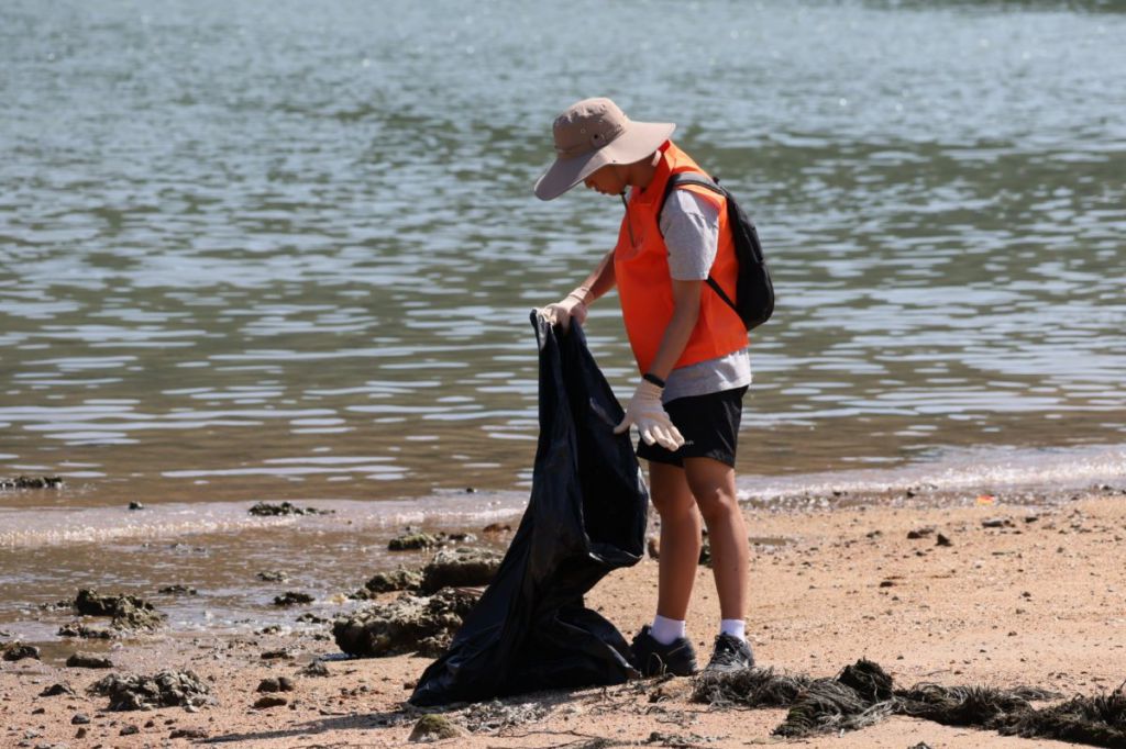 Clean Shorelines