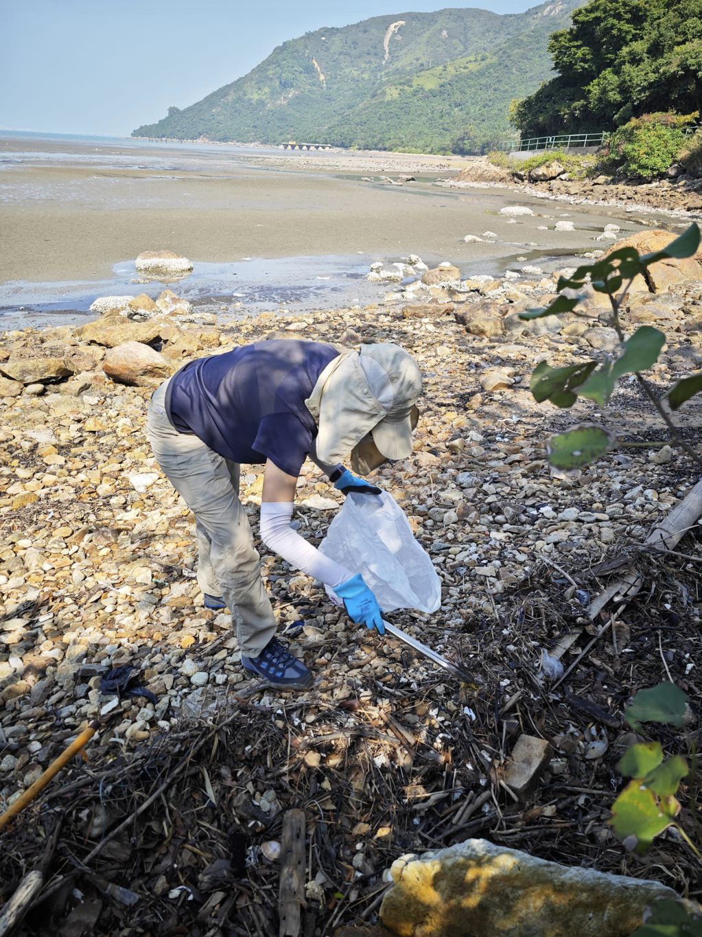 Clean Shorelines