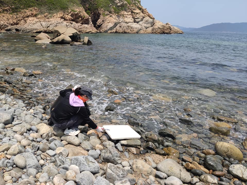 Clean Shorelines