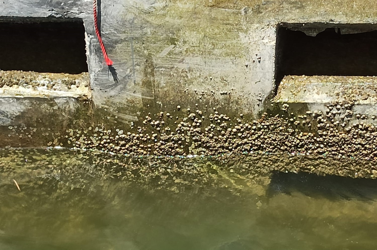 Problems & Solutions | Environmental Protection Department